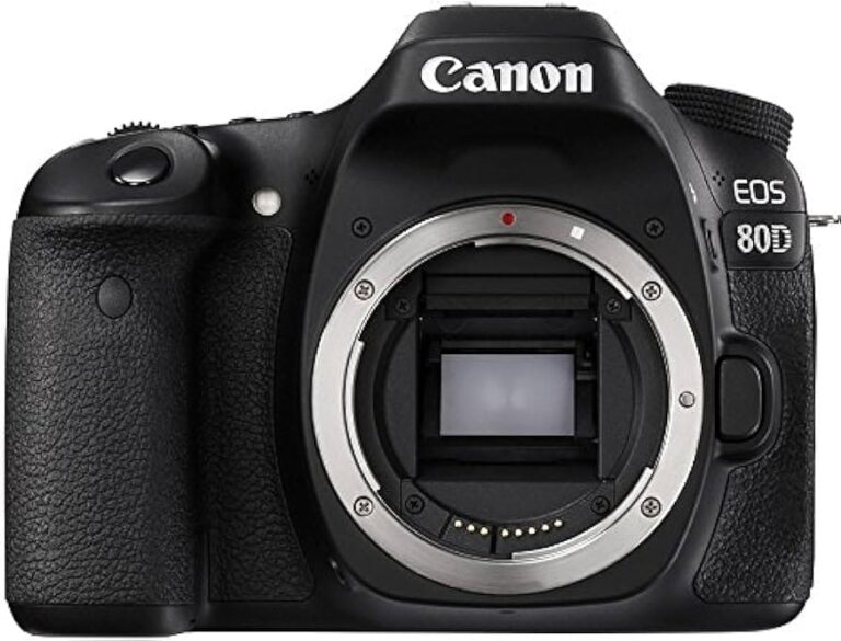 7 Best DSLR Camera Picks of 2024