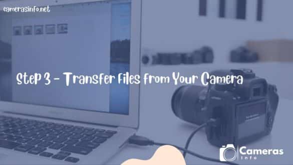 How to Connect Canon Camera to Computer in 3 Easy Steps