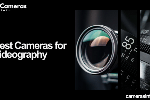 A Guide to ISO Setting on Camera for Better Photography