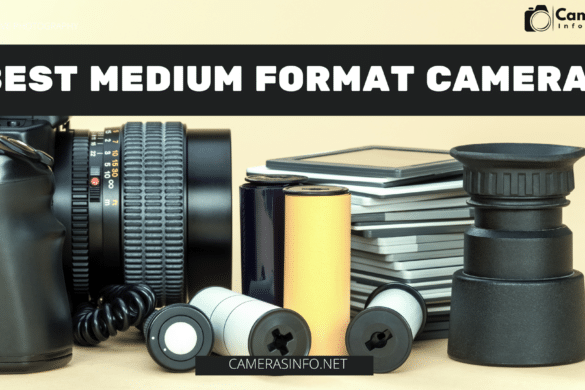 A Guide to ISO Setting on Camera for Better Photography