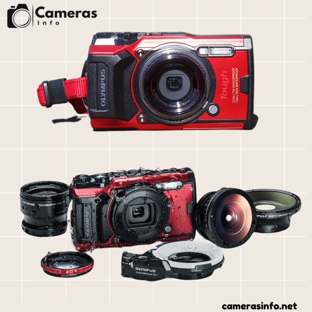 5 Best Underwater Cameras of 2024