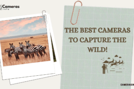 How to Take Off Camera Protector Safely